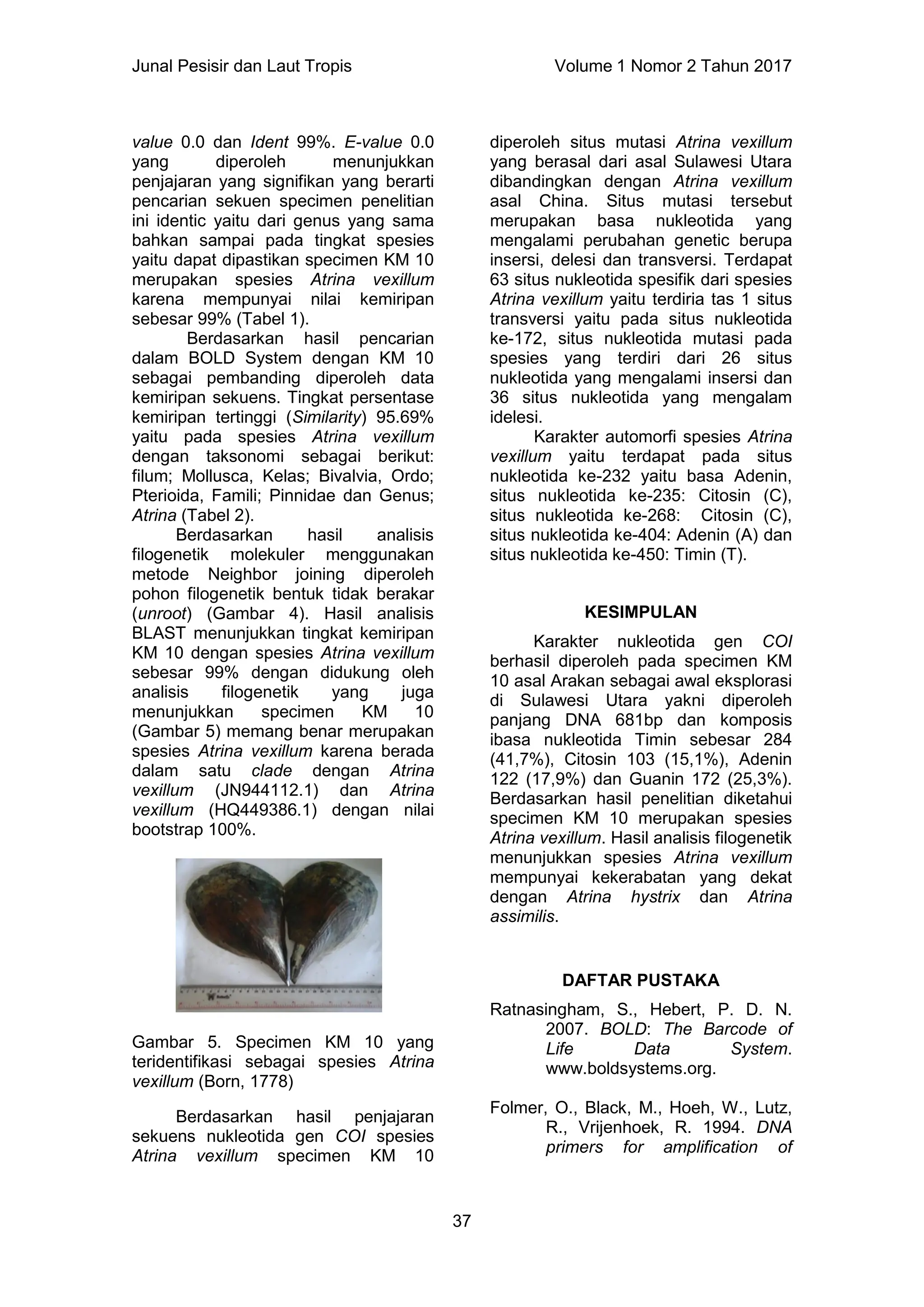 DNA BARCODE DAN ANALISIS FILOGENETIK MOLEKULER BEBERAPA JENIS BIVALVIA ...