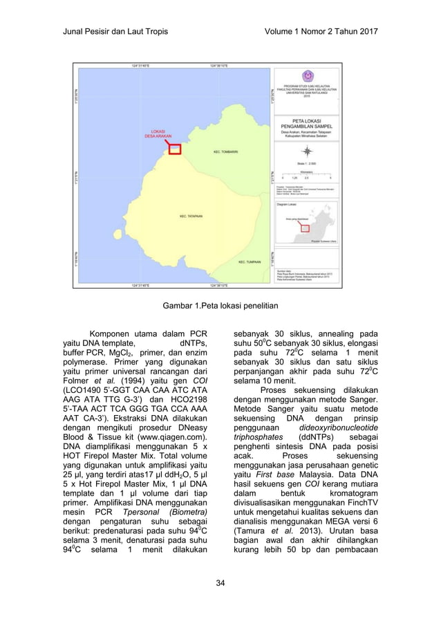 DNA BARCODE DAN ANALISIS FILOGENETIK MOLEKULER BEBERAPA JENIS BIVALVIA ...