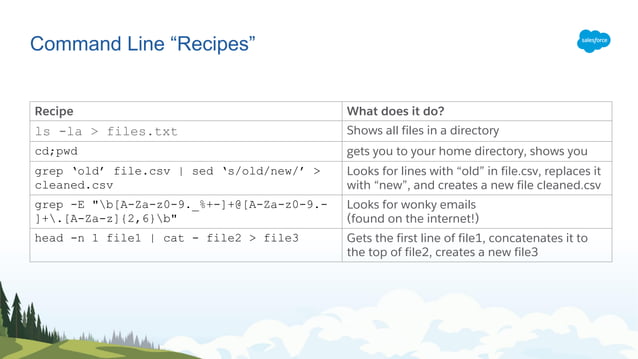 Intro to the Salesforce Command Line Interface for Admins | PPT