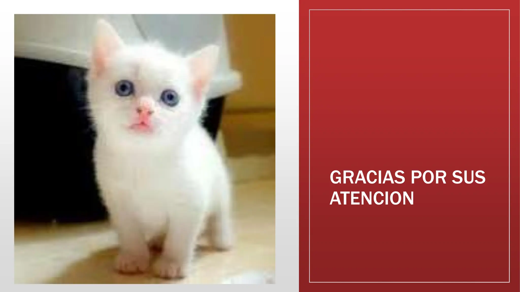 ADMISION_Y_ALTA_DEL_PACIENTE HOSPITALARIO.PPT