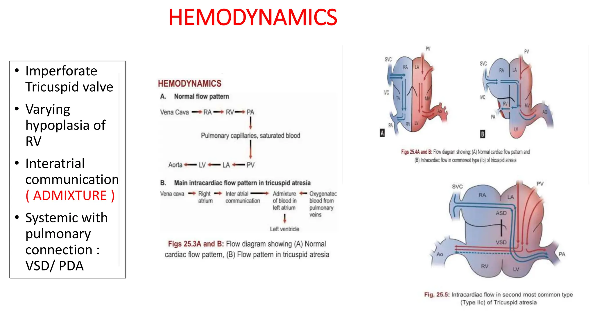 ADMIXTURE PHYSIOLOGY AND LESIONS - .pptx