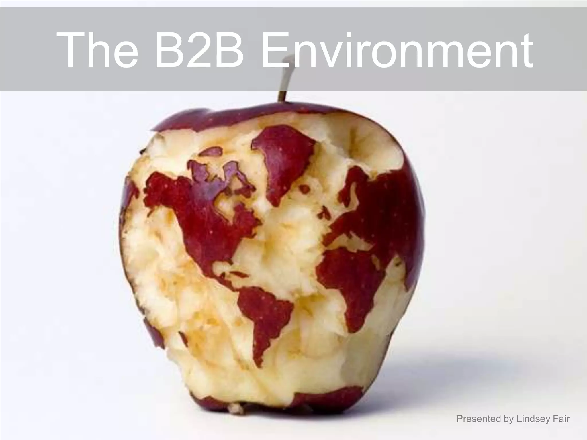 The B2B External Environment | PPT