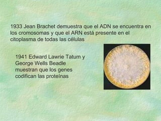 Estructura y Funcion del ADN | PPT