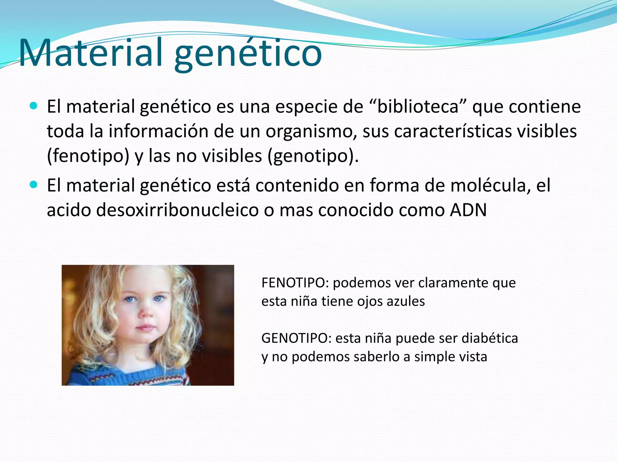 MATERIAL GENETICO ADN ARN PROCESOS ENZIMAS | PPTX