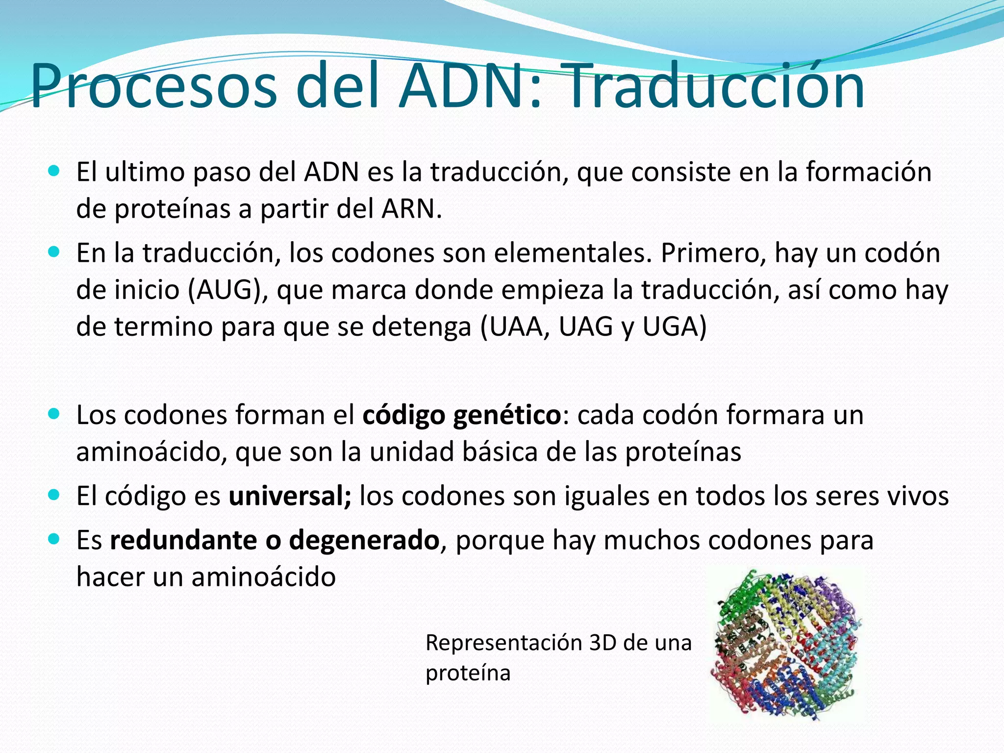 MATERIAL GENETICO ADN ARN PROCESOS ENZIMAS | PPTX