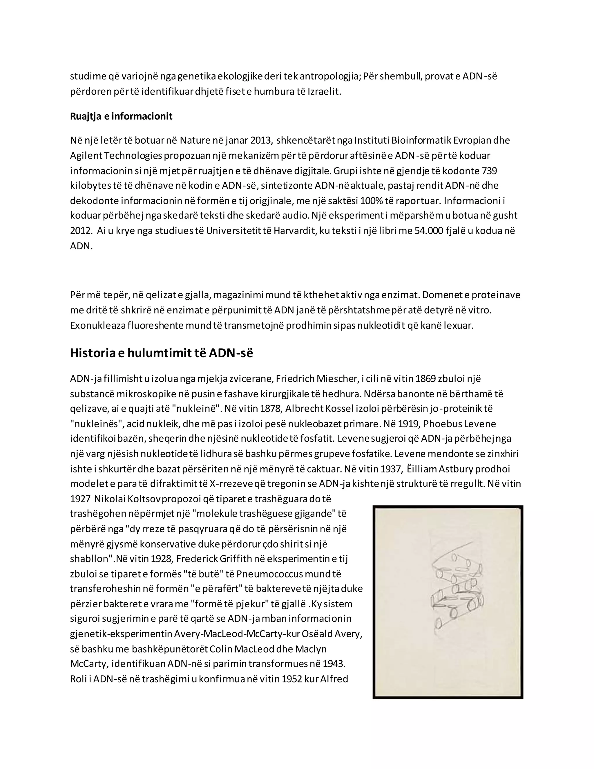 ADN - Acidi Desoksiribonukleik | DOCX