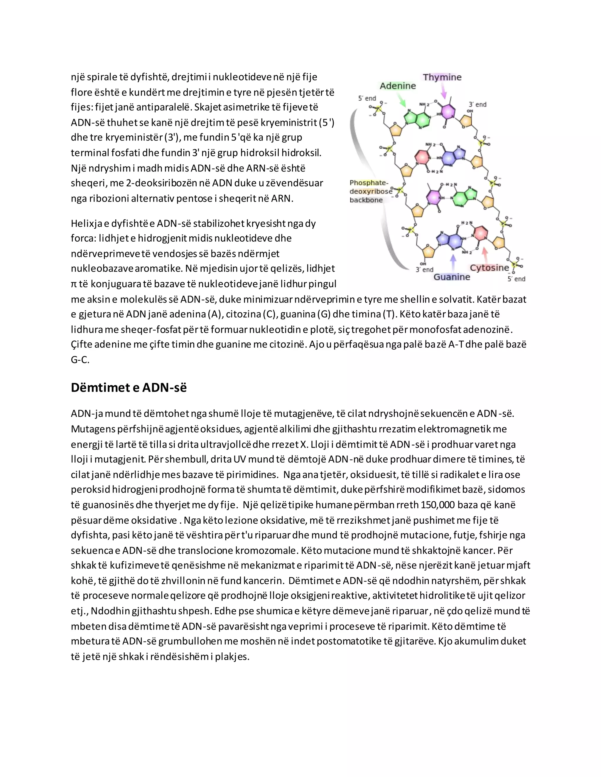 ADN - Acidi Desoksiribonukleik | DOCX