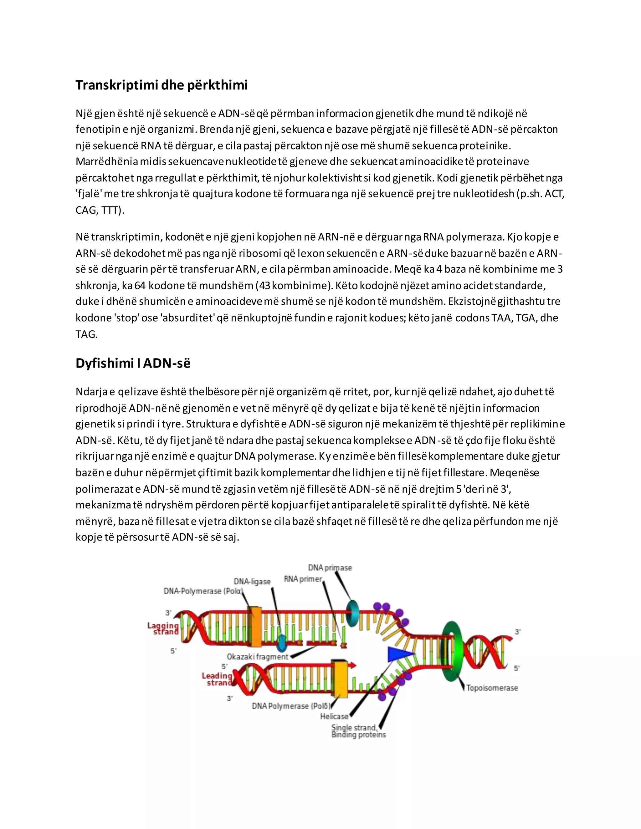 ADN - Acidi Desoksiribonukleik | DOCX