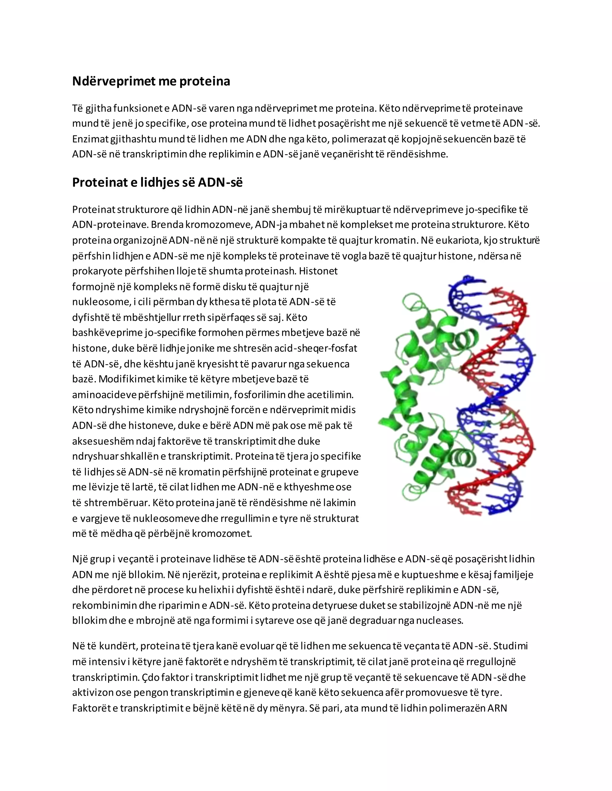 ADN - Acidi Desoksiribonukleik | DOCX