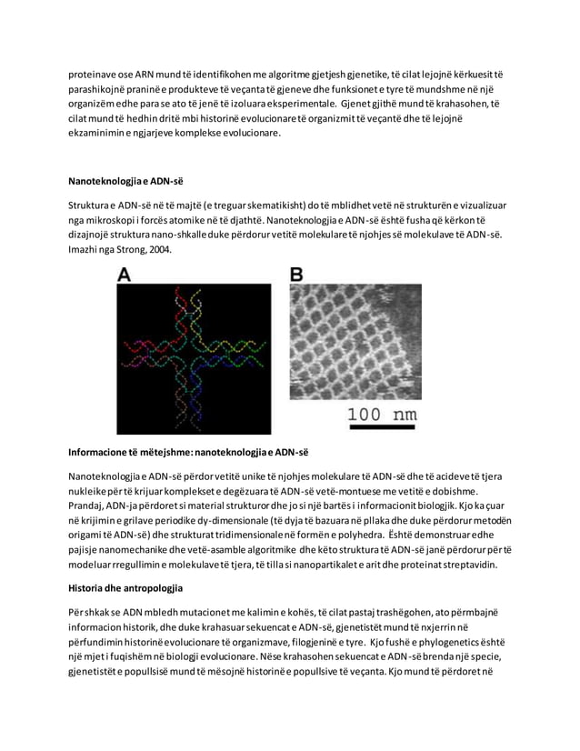 ADN - Acidi Desoksiribonukleik | DOCX