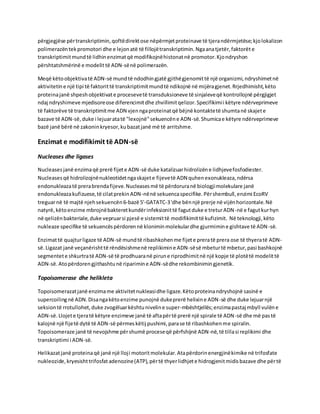 ADN - Acidi Desoksiribonukleik | DOCX