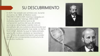 Nucleína De Friedrich Miescher