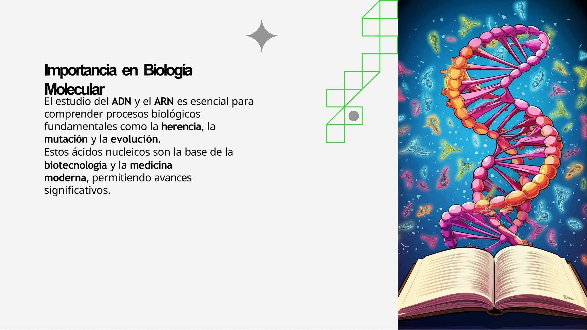 adn y sus partes con su clasificacion y control | PPTX