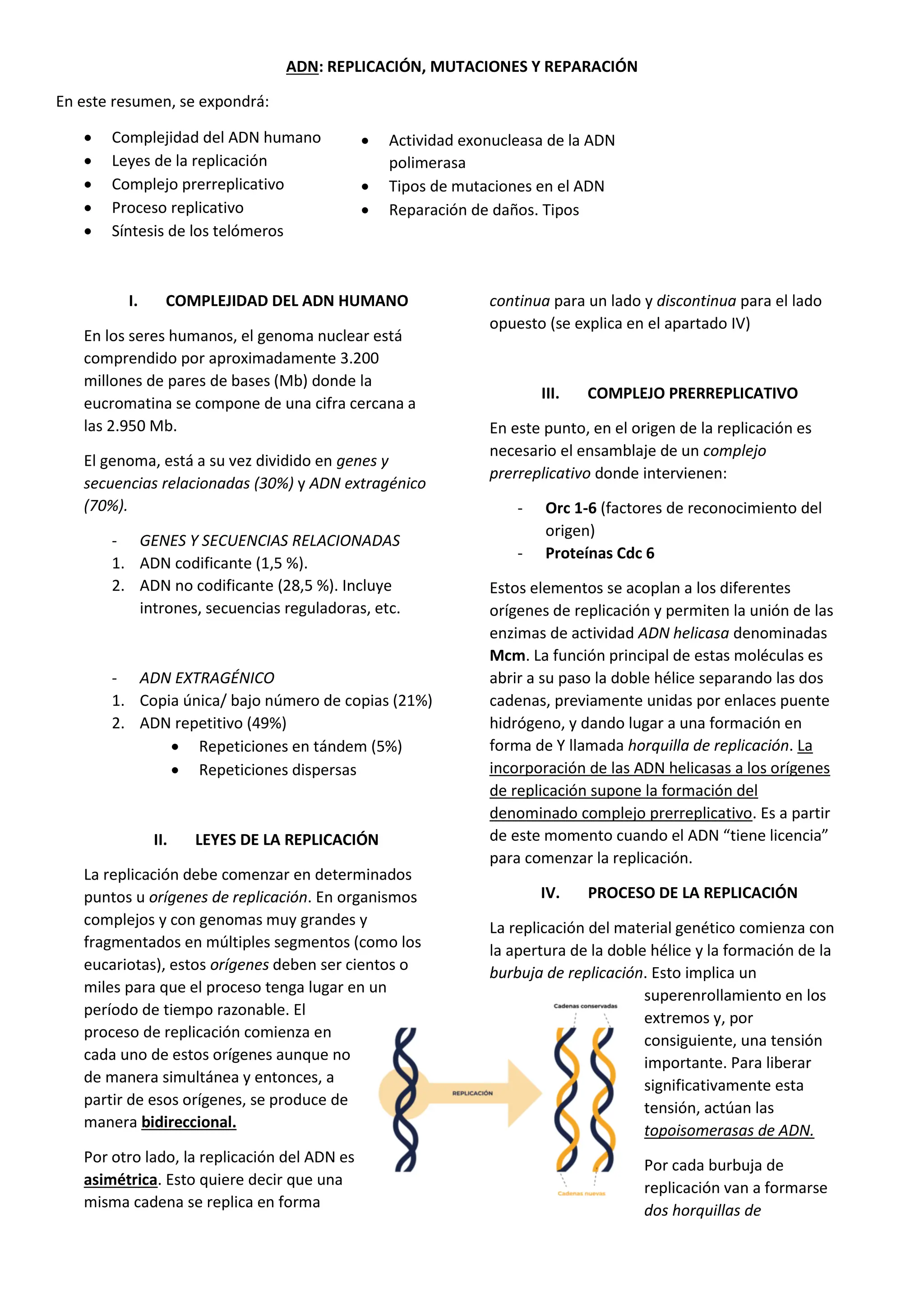 ADN: Replicación, mutaciones y reparación | PDF