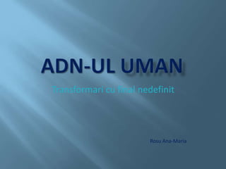 Adn ul uman | PPTX