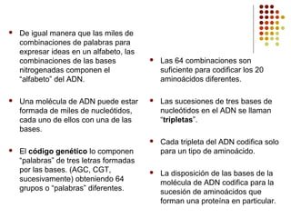 Replicación, Transcripción y Traducción del ADN | PPT
