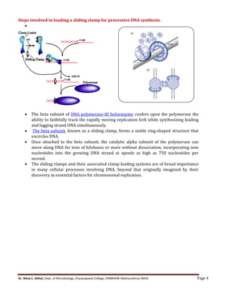 A dna clamp | PDF