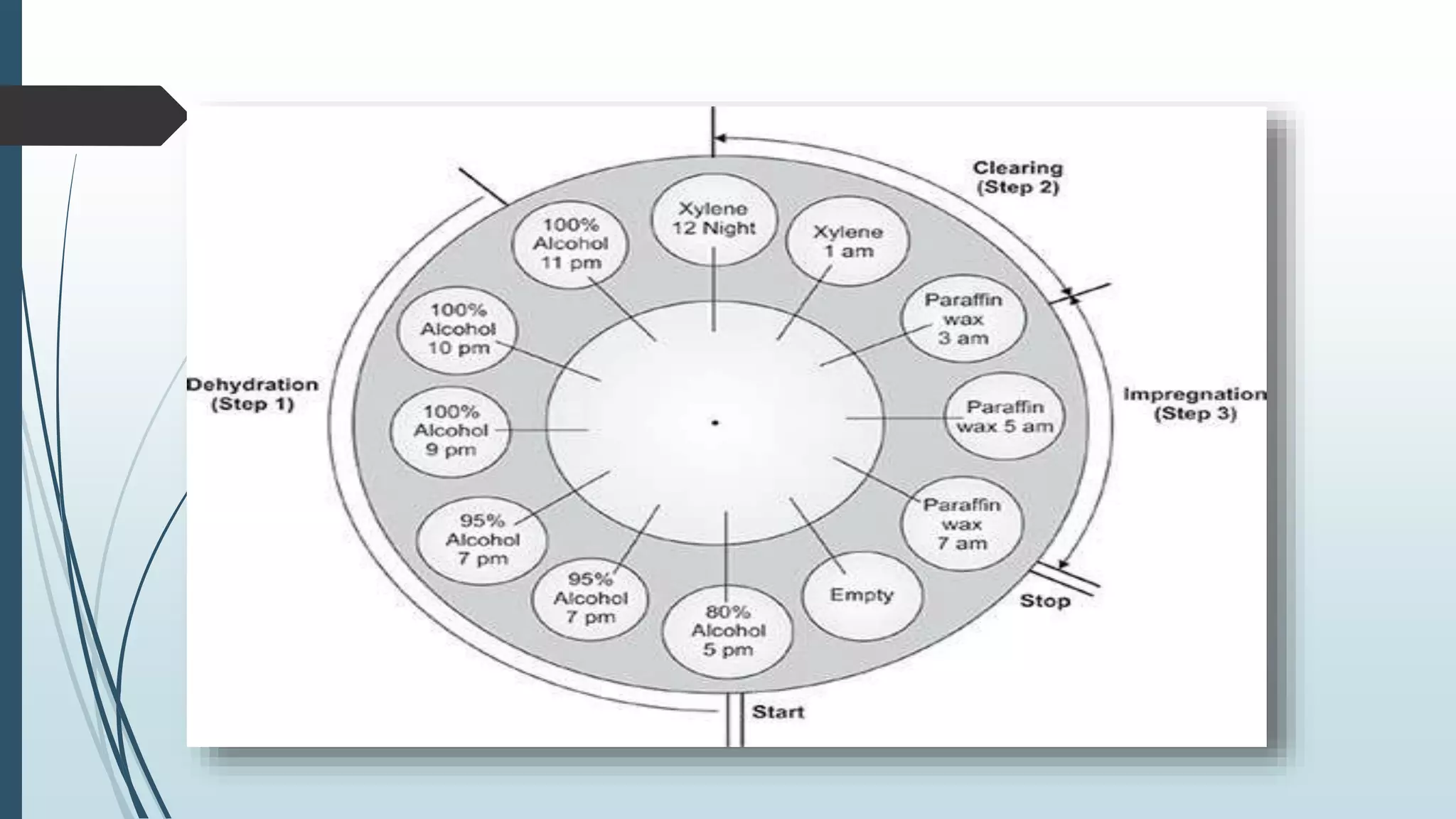 Name:-adnan adil, S/O:- md monir alam, vill:-kesath, chauparan ...