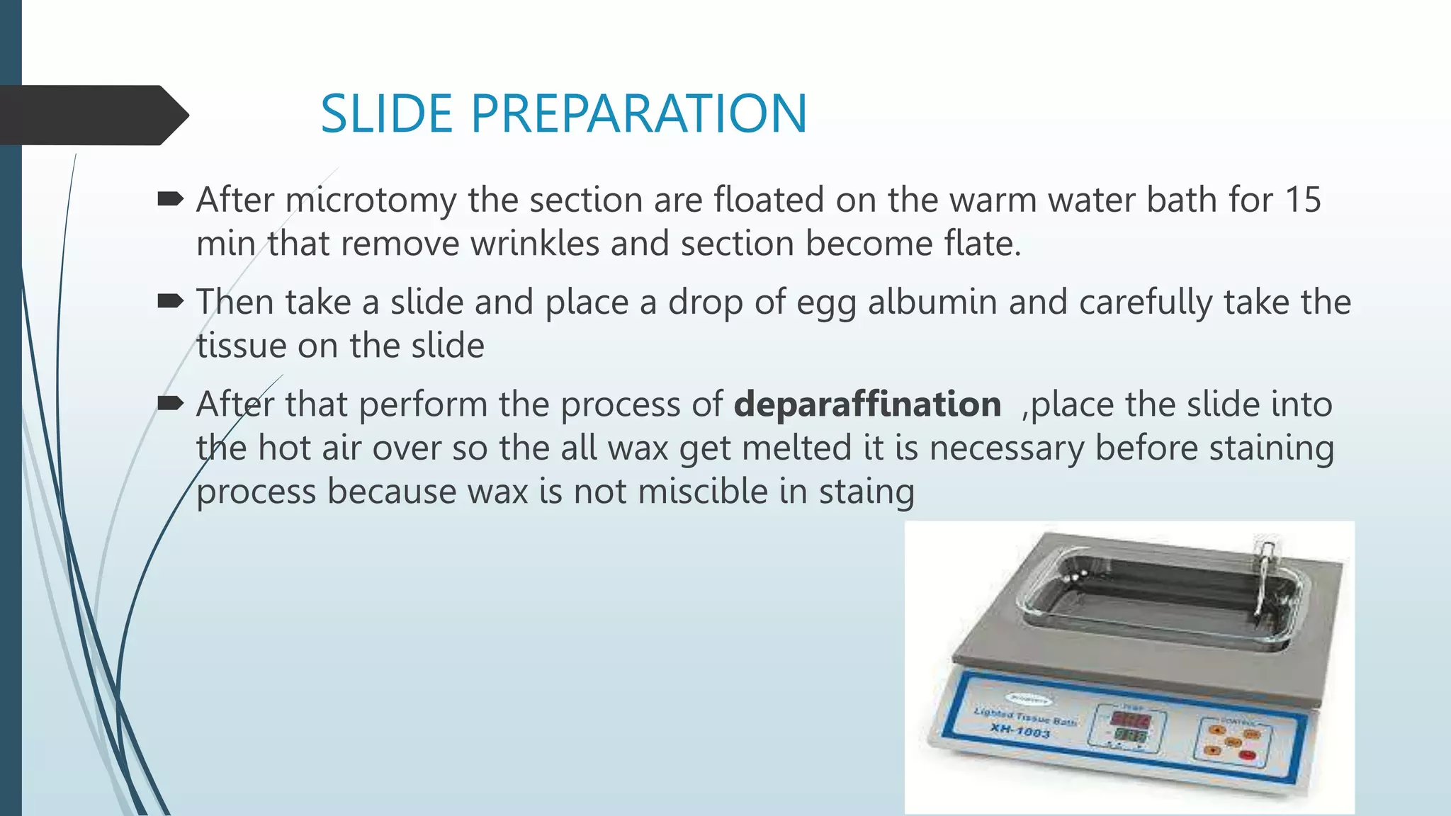 Name:-adnan adil, S/O:- md monir alam, vill:-kesath, chauparan ...