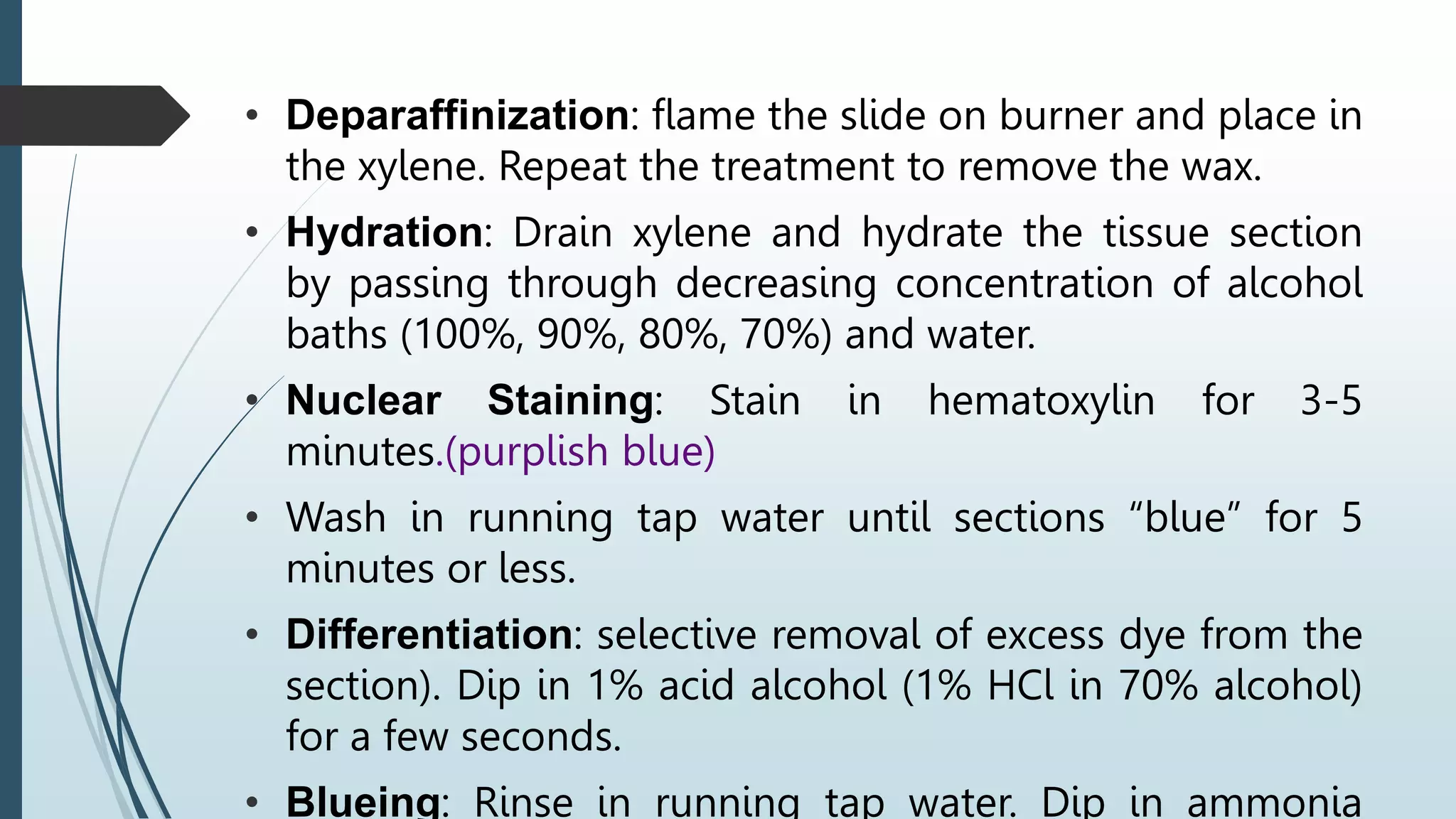 Name:-adnan adil, S/O:- md monir alam, vill:-kesath, chauparan ...