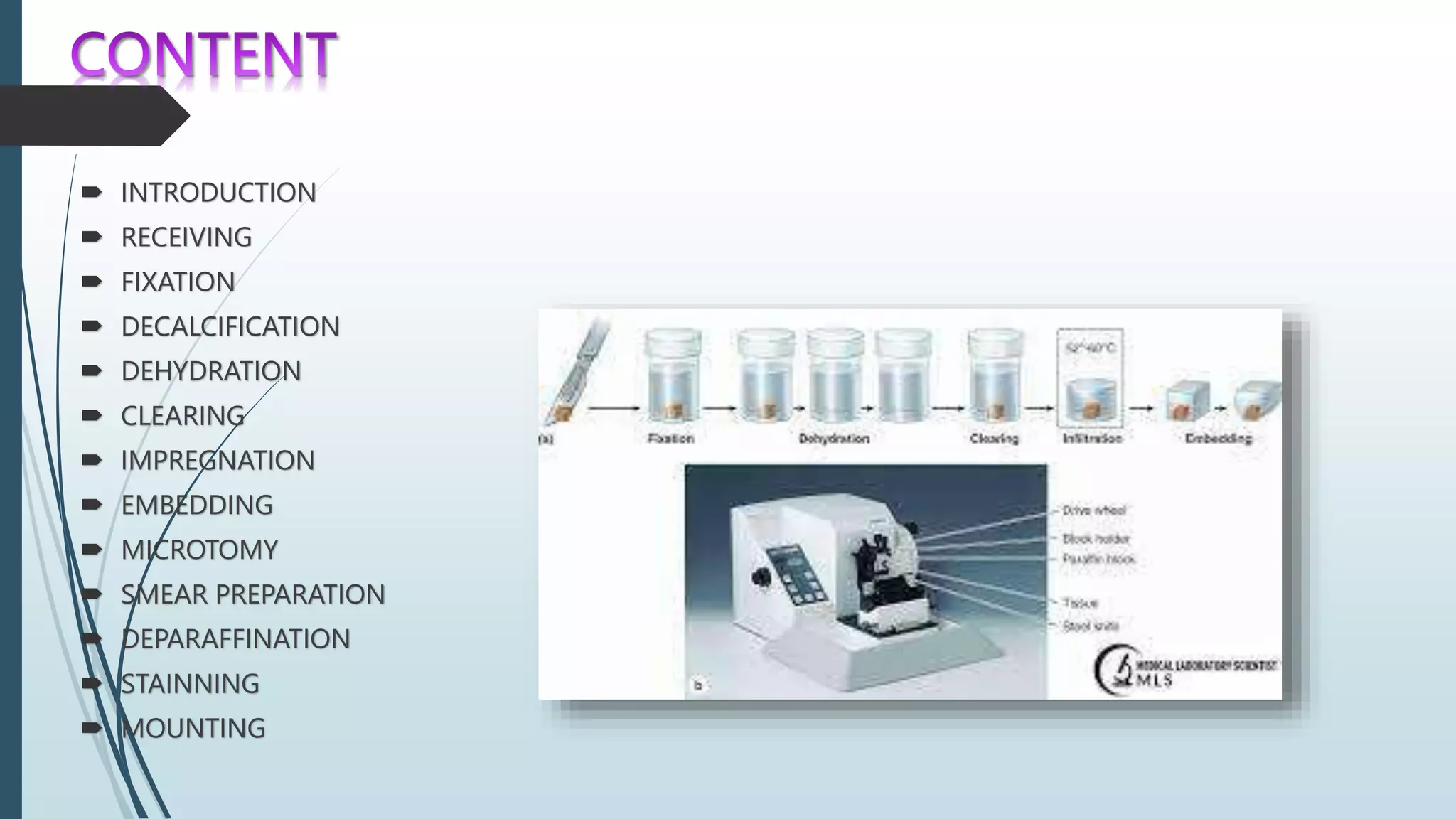 Name:-adnan adil, S/O:- md monir alam, vill:-kesath, chauparan ...