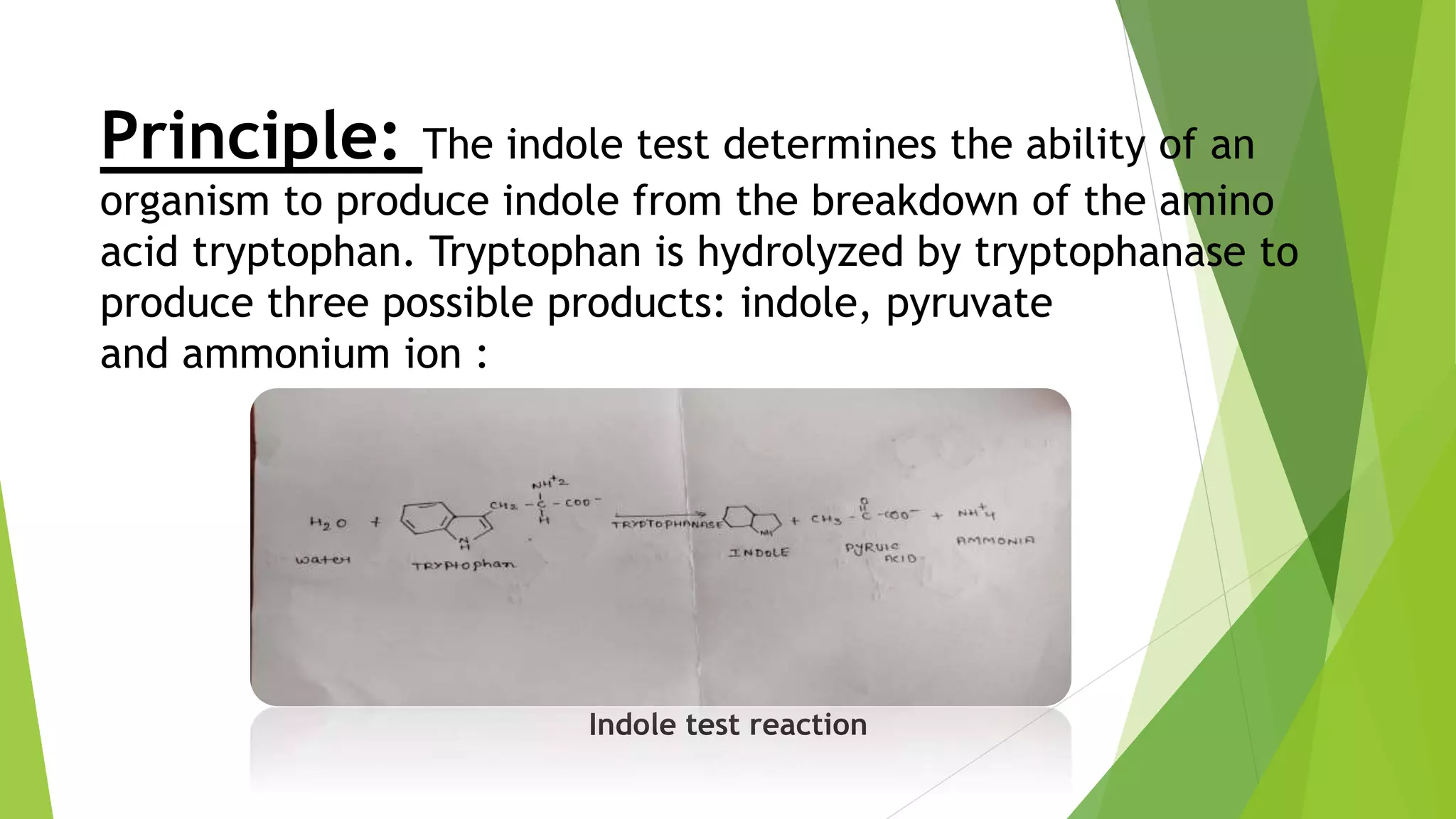 adnan adil, S/O:-md monir alam, vill:-kesath, chauparan, hazaribagh(study at Usha Martin ...