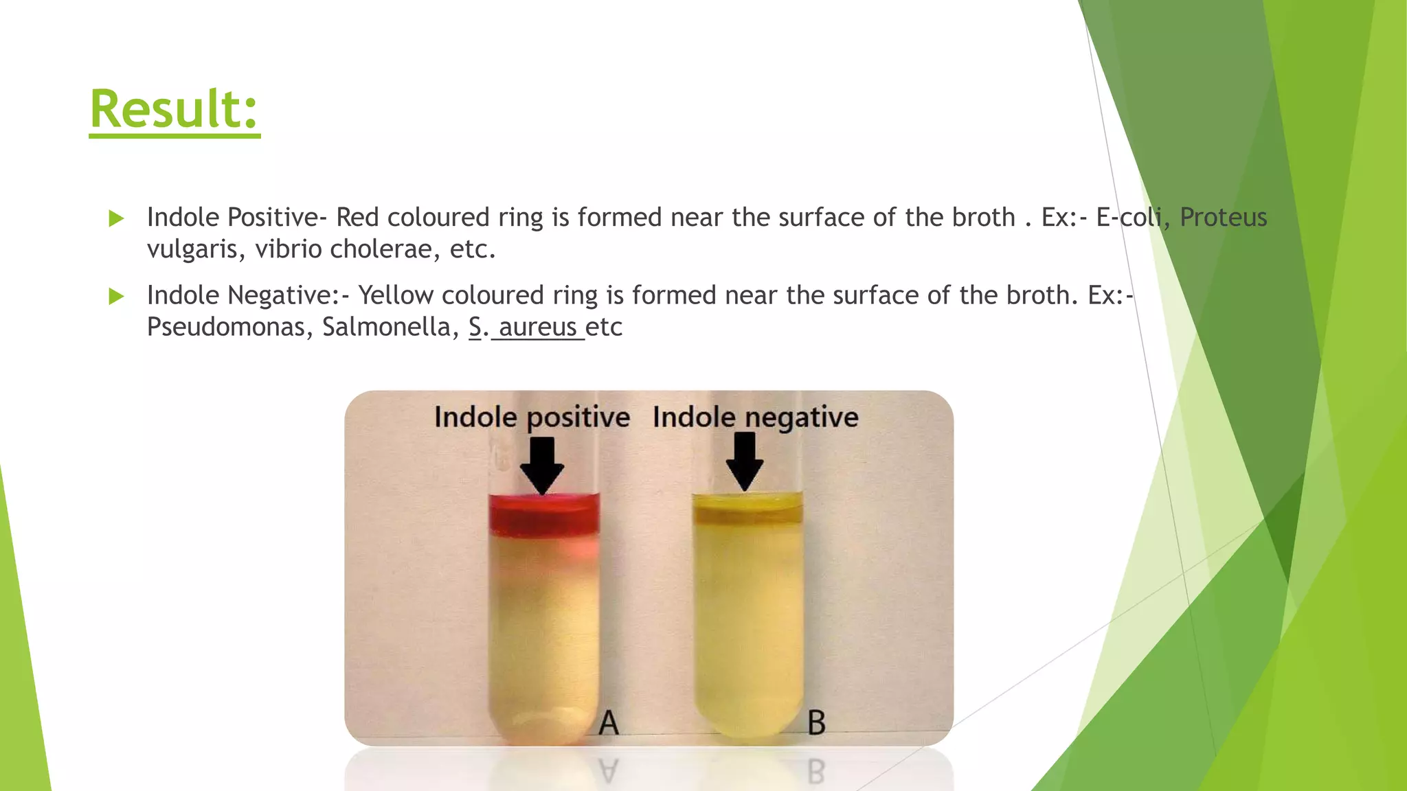 adnan adil, S/O:-md monir alam, vill:-kesath, chauparan, hazaribagh ...