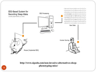 Animal models of Anxiety and depression (ADNAN KHAN) | PPTX