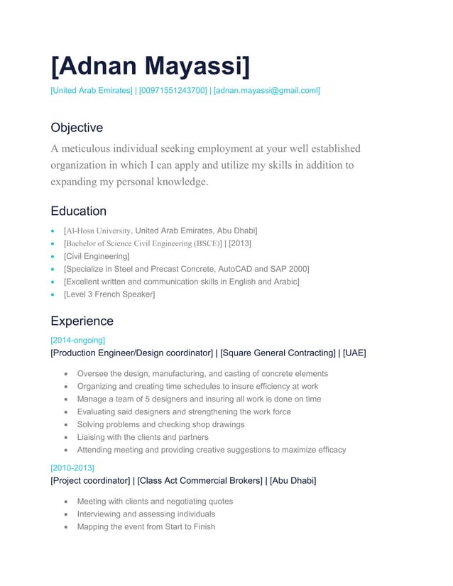 Adnan mayassi c.v | PDF