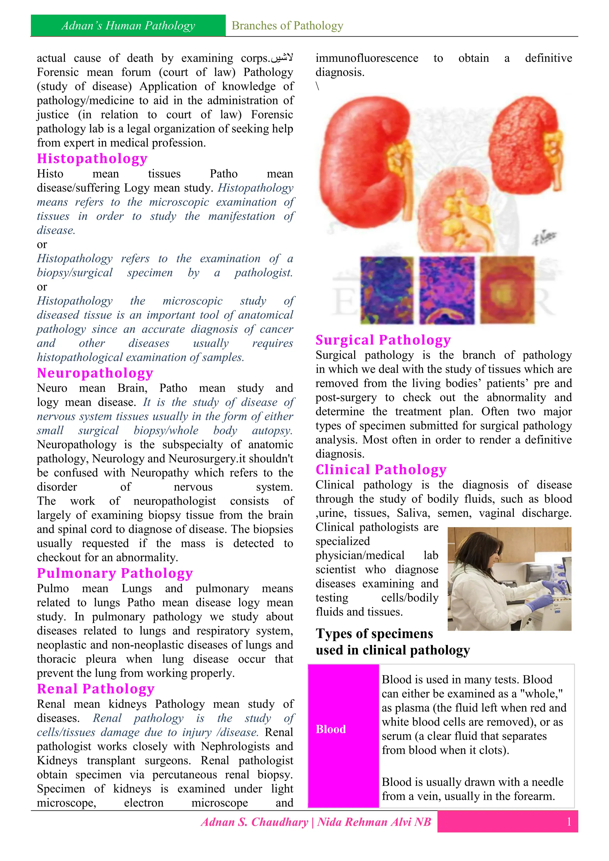 ADNAN PATHOLOGY book for medical students.pdf