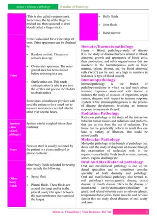ADNAN PATHOLOGY book for medical students.pdf