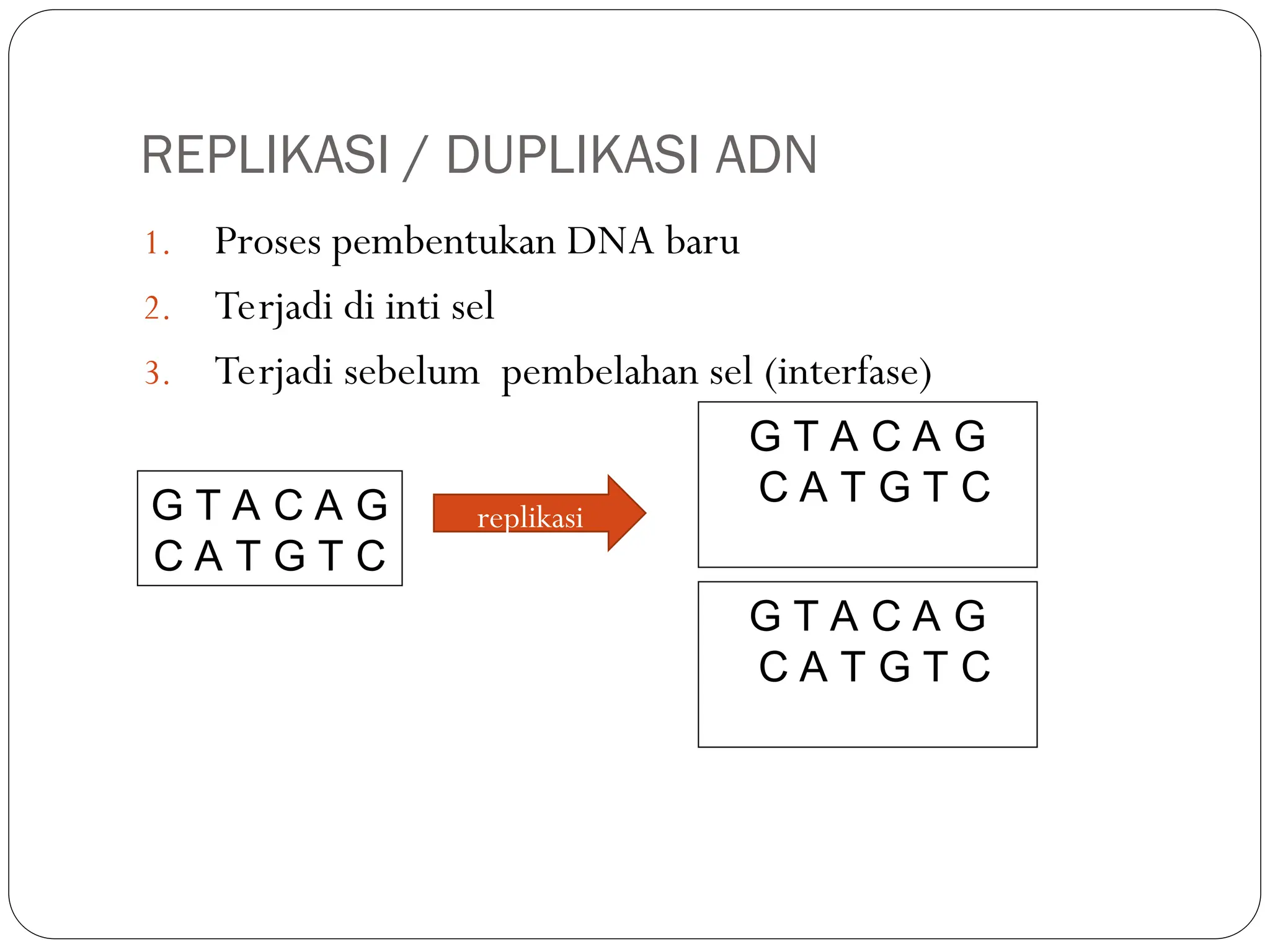 Materi biologi kelas 12 tahun 2024 semester 1 DNA dan RNA | PPT