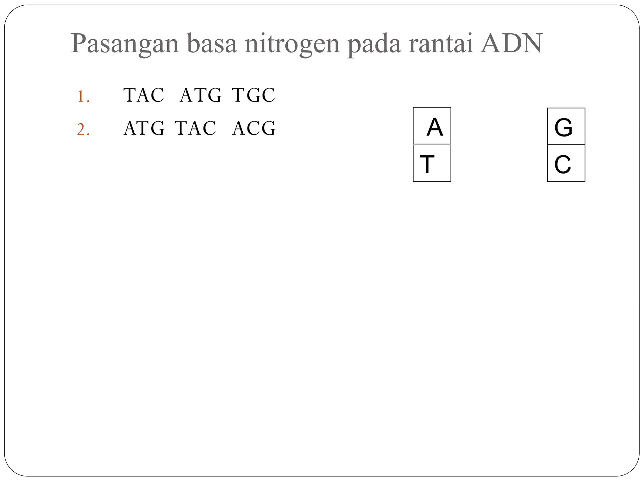 Materi biologi kelas 12 tahun 2024 semester 1 DNA dan RNA | PPT