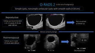 Adnexal cysts.pptx