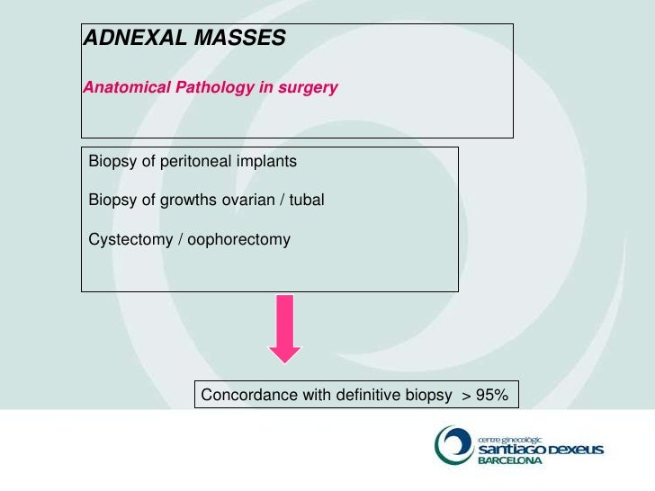 Adnexal Masses adnexal-masses
