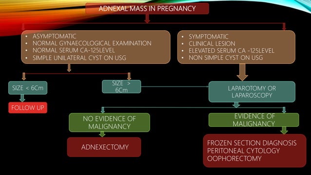 Adnexal mass in pregnancy | PPTX | Pregnancy | Reproductive Health