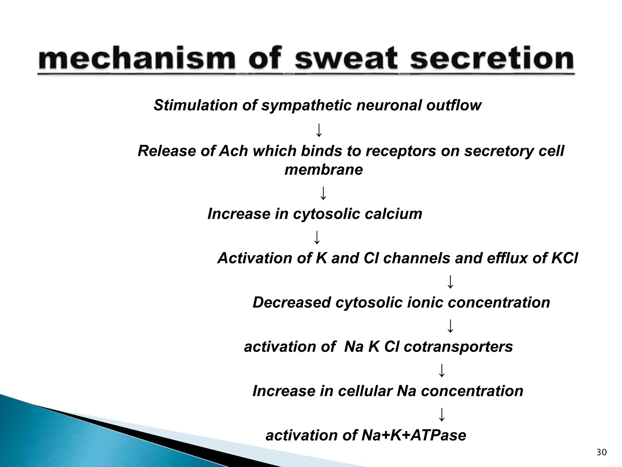 Adnexal structures of the skin | PPTX