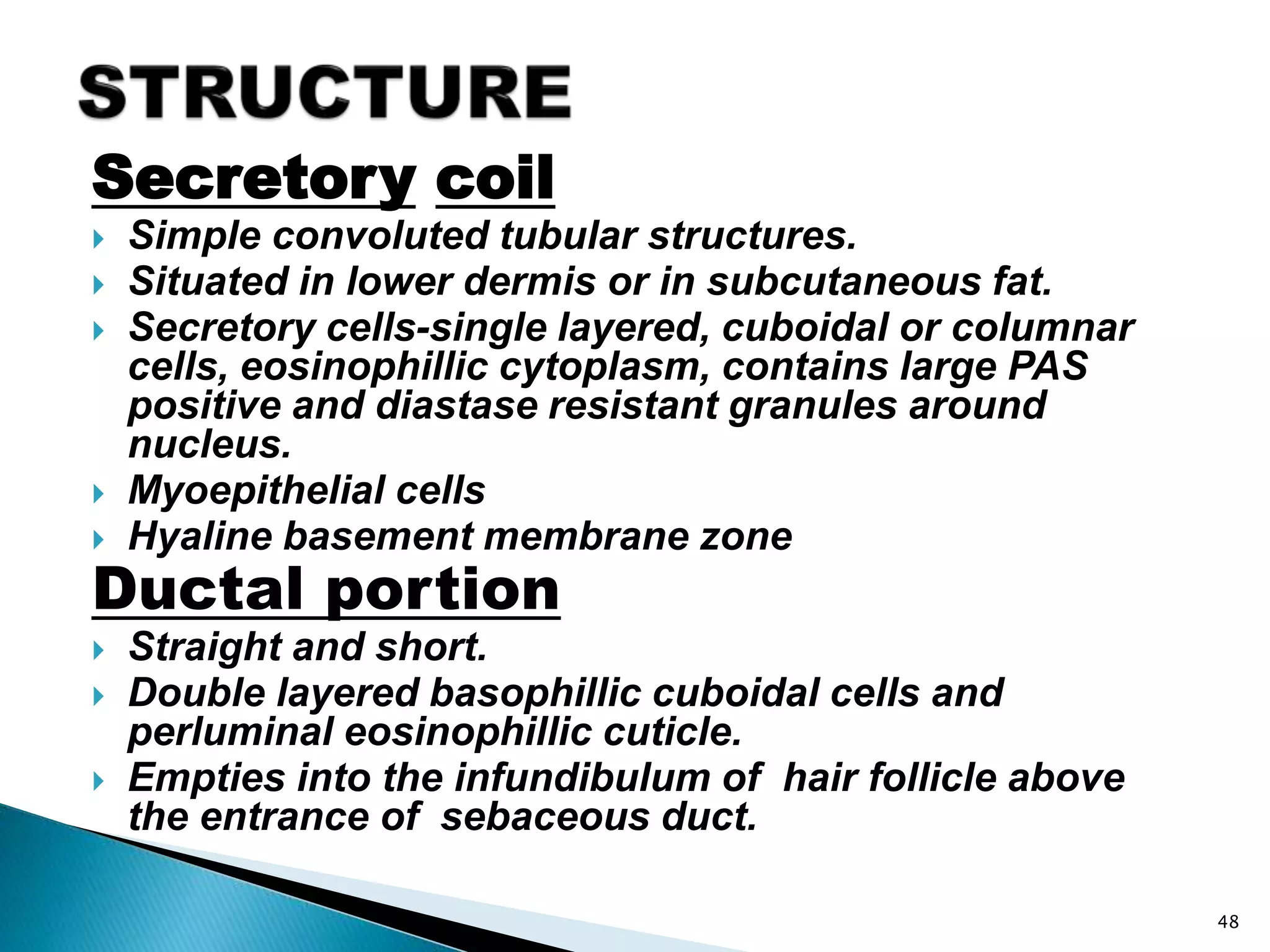 Adnexal structures of the skin | PPTX