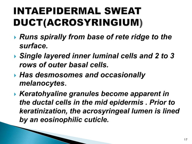 Adnexal structures of the skin | PPT