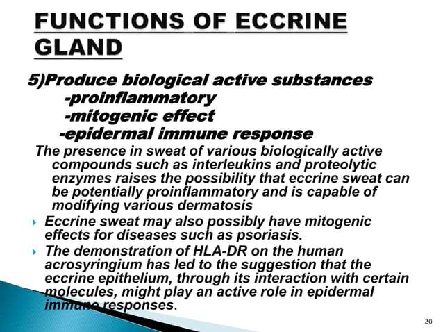 Adnexal structures of the skin | PPT