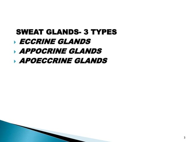 Adnexal structures of the skin | PPT