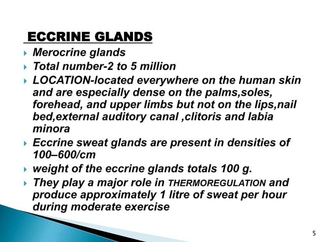 Adnexal structures of the skin | PPT