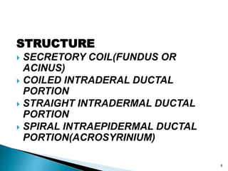Adnexal structures of the skin | PPTX
