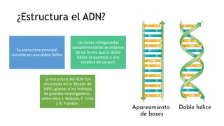 ADN DE BIOLOGIA MOLECULAR EN EL AREA ACUICOLA | PPTX