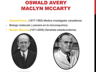 ADN Material genetico 1944 | PPTX