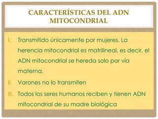 TEORIA DEL ADN MITOCONDRIAL, HISTORIA Y AVANCES | PPTX