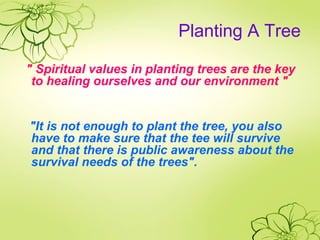 GREENERY | PPT