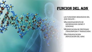 ADN Y ARN BIOLOGIA UNIVERSIDAD PERUANA LOS ANDES | PPTX