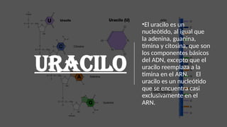 ADN Y ARN BIOLOGIA UNIVERSIDAD PERUANA LOS ANDES | PPTX