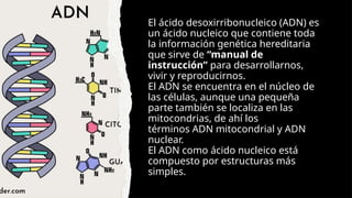 ADN Y ARN BIOLOGIA UNIVERSIDAD PERUANA LOS ANDES | PPTX
